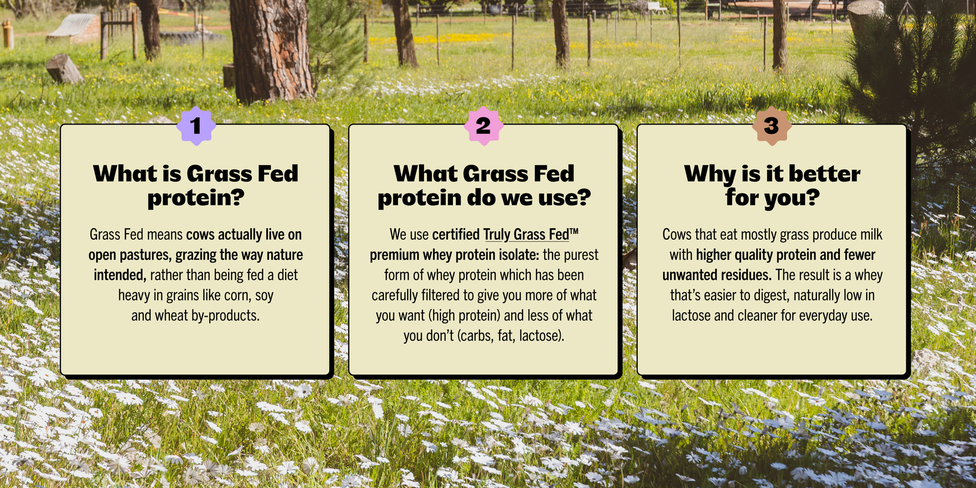 Truly Grass Fed – METALAB SUPPS