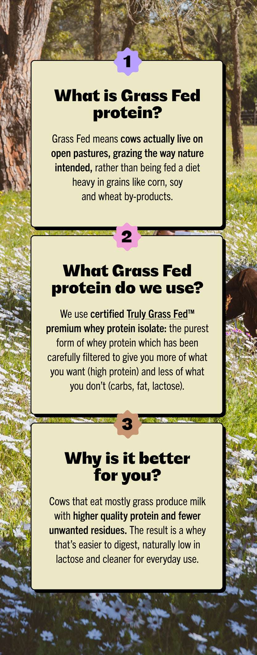 Truly Grass Fed – METALAB SUPPS
